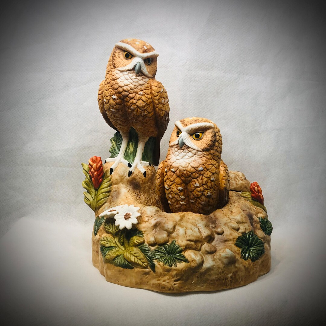 Vintage Super Nice W/styro Pack - Empty Collectors Burrowing Owl Full ...