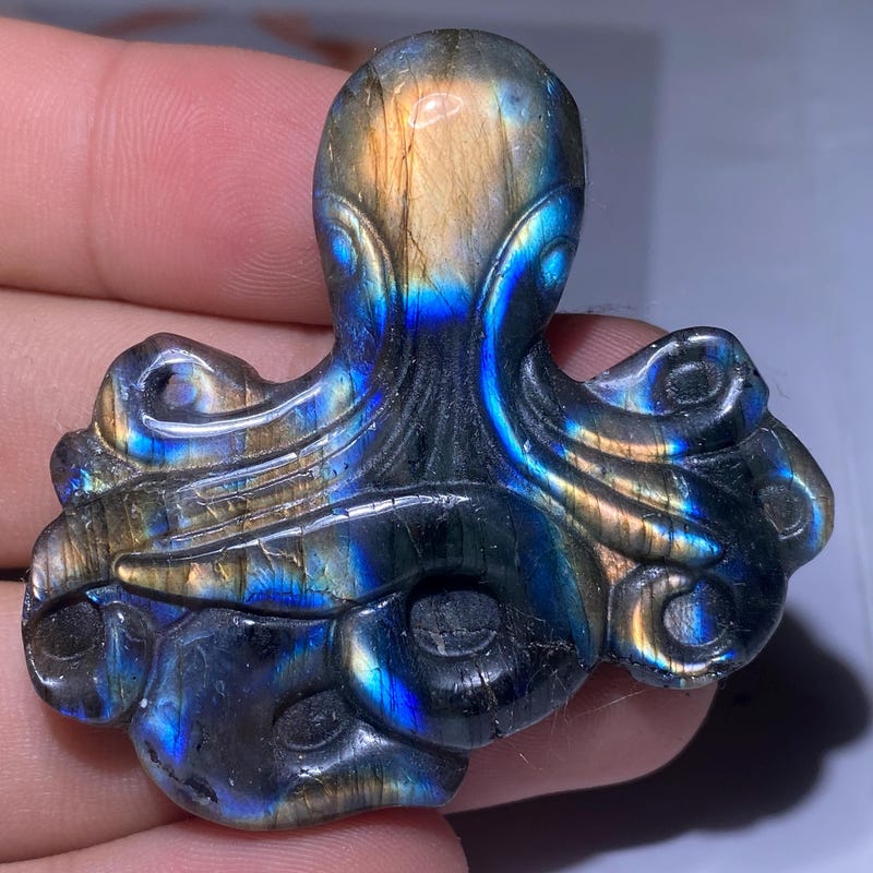 Octopus Decoration - Etsy