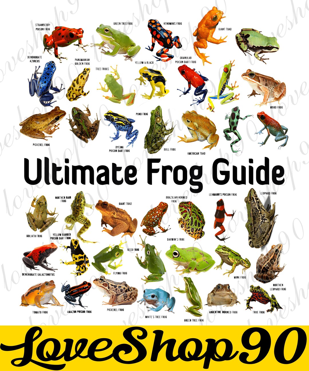 Ultimate Frog Guide PNG File | Digital Download | Frog Species Chart ...