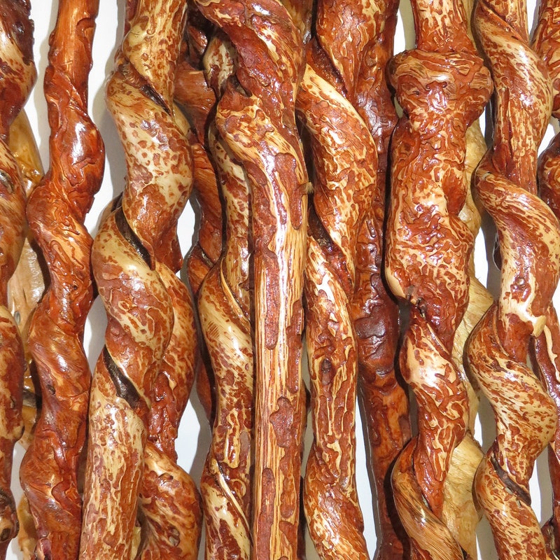 KentuckyWalkingStick - Etsy