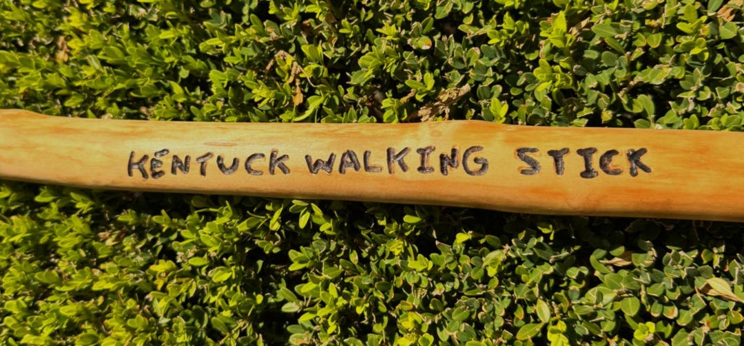 Have Your Initials or Name Carved on Your Walking Stick - Etsy