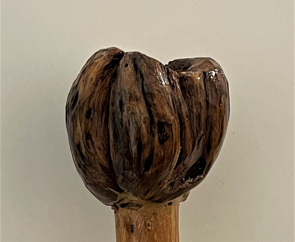 Burl Wood Topper for Walking Stick etsy - Etsy