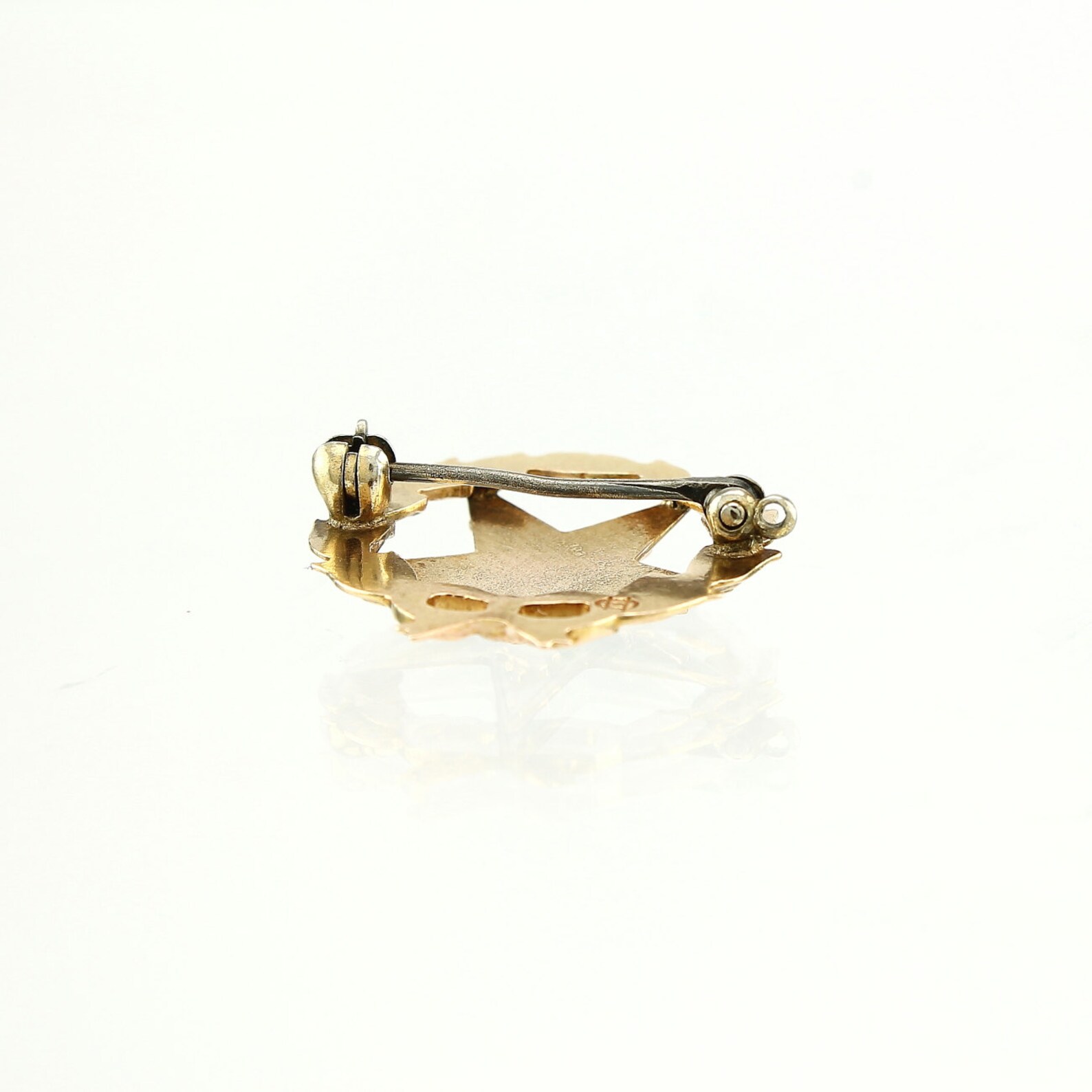 OES 10K Gold Pin Eastern Star Lapel Pin OES Brooch | Etsy