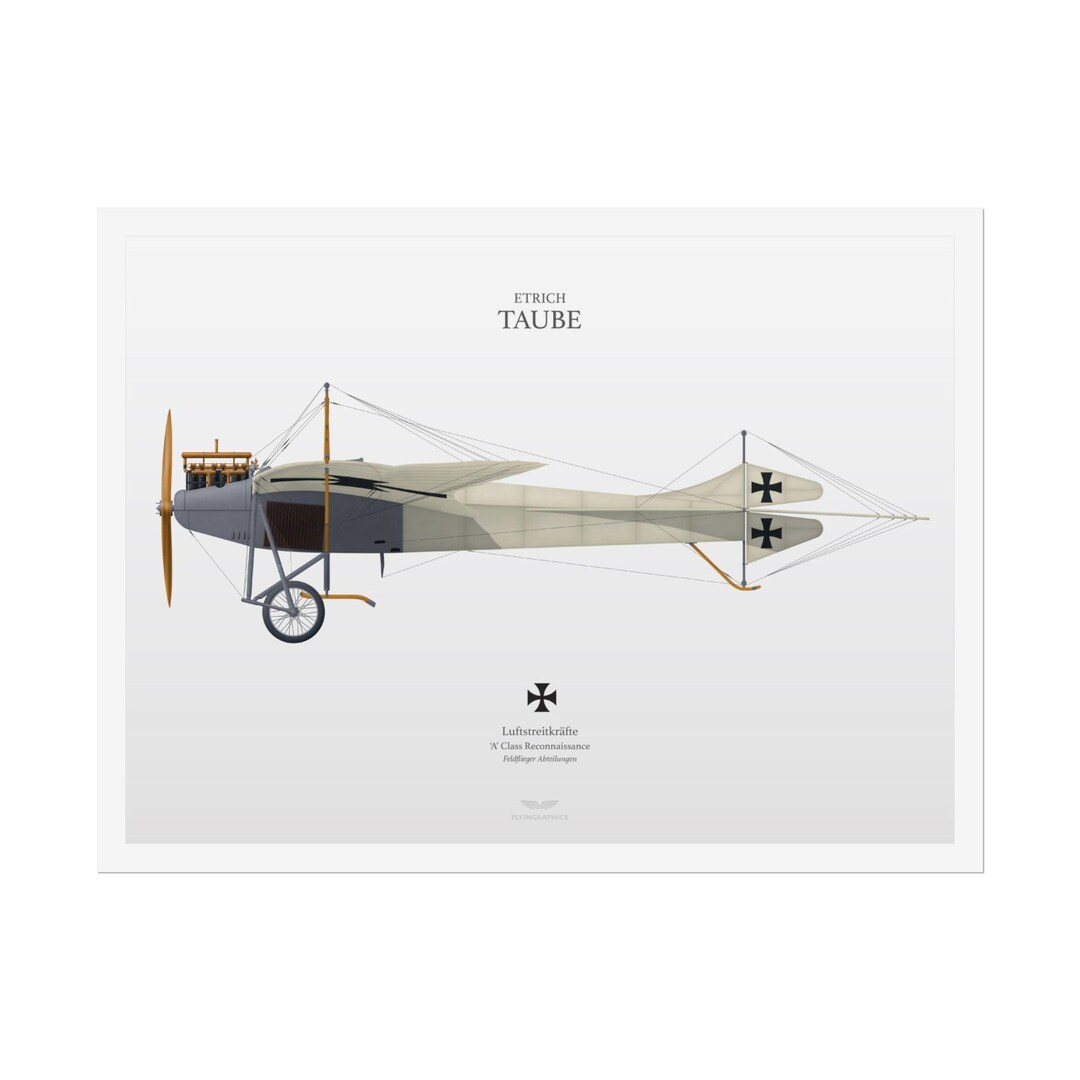 Etrich Taube - Rolled Poster - Etsy
