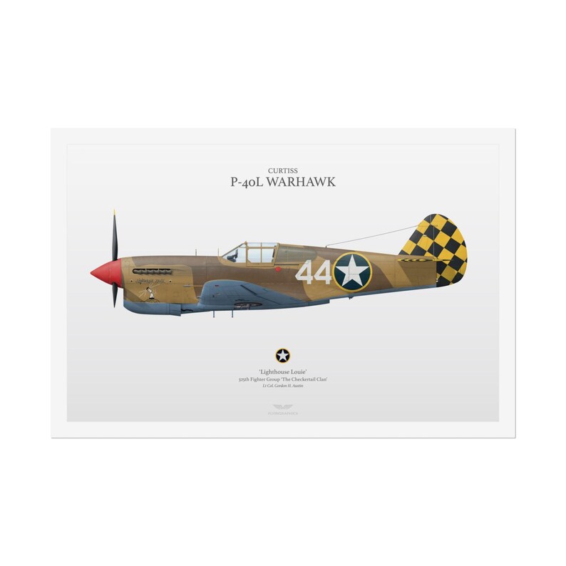 Curtiss P-40L Warhawk - Rolled Poster - Etsy