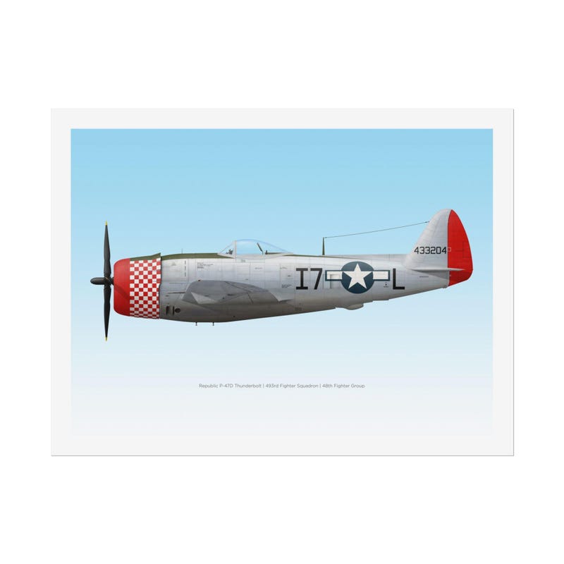 P 47 Thunderbolt Art - Etsy