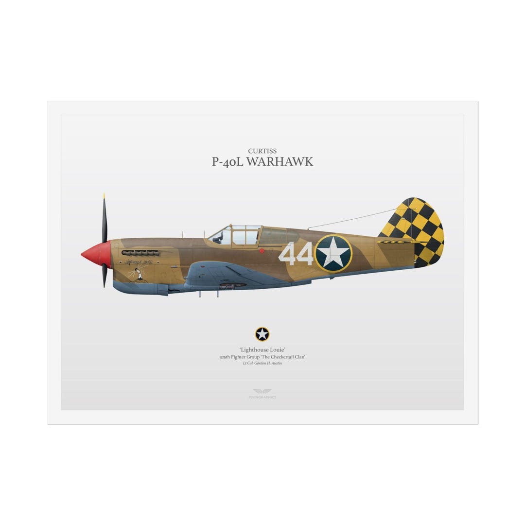 Curtiss P-40L Warhawk - Rolled Poster - Etsy