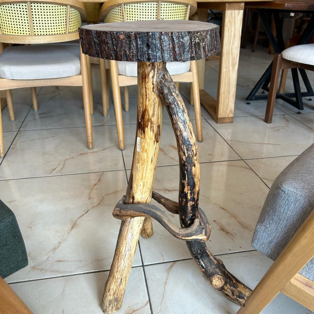 Rustic Live Edge Wood Side Table – Natural Tree Stump End Table ...