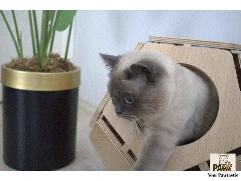 Origami-inspired Wooden Cat House – Modern Geometric design - Etsy