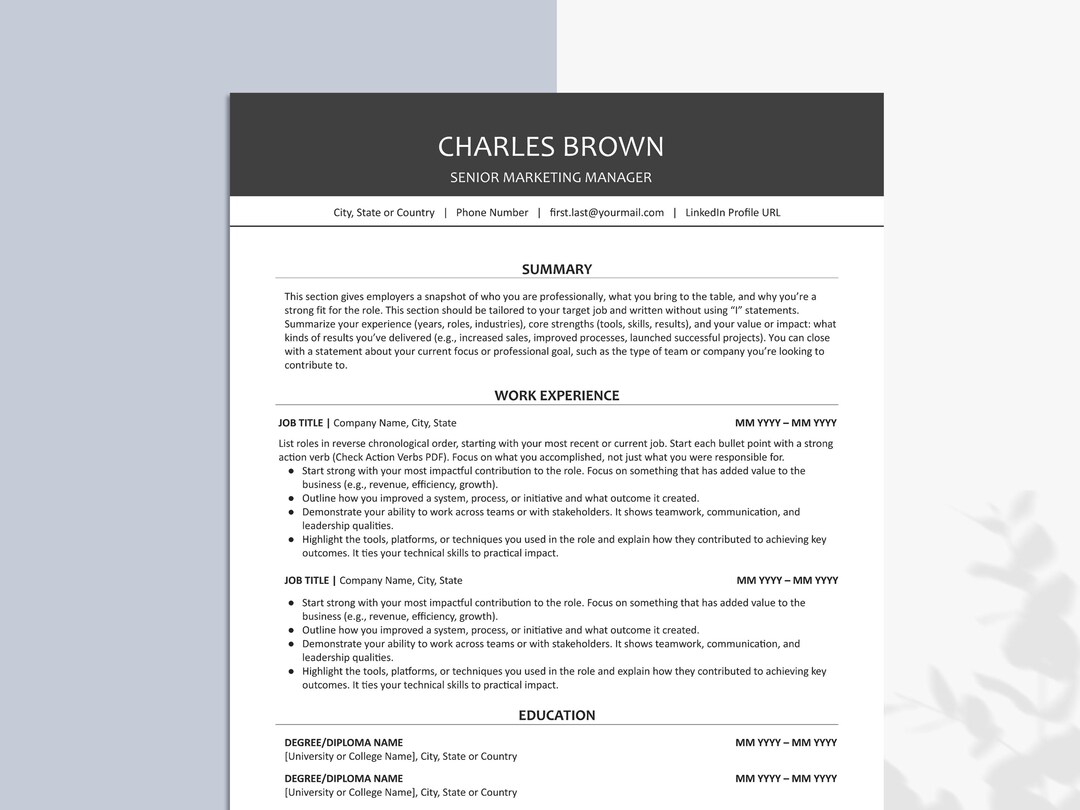 Professional ATS Resume Template Word & Google Docs | Ats-friendly CV ...