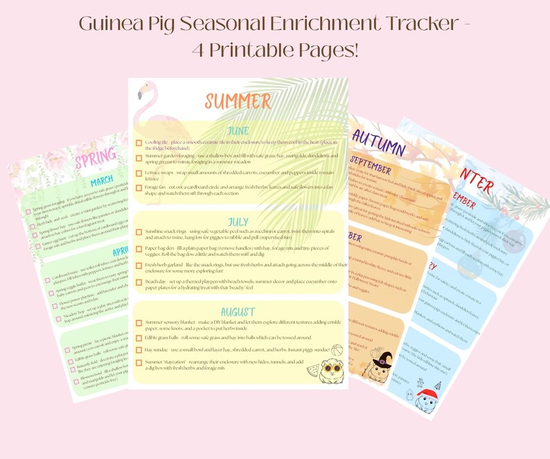 Guinea Pig Enrichment Tracker Printable | 4-page A4 PDF for Seasonal ...