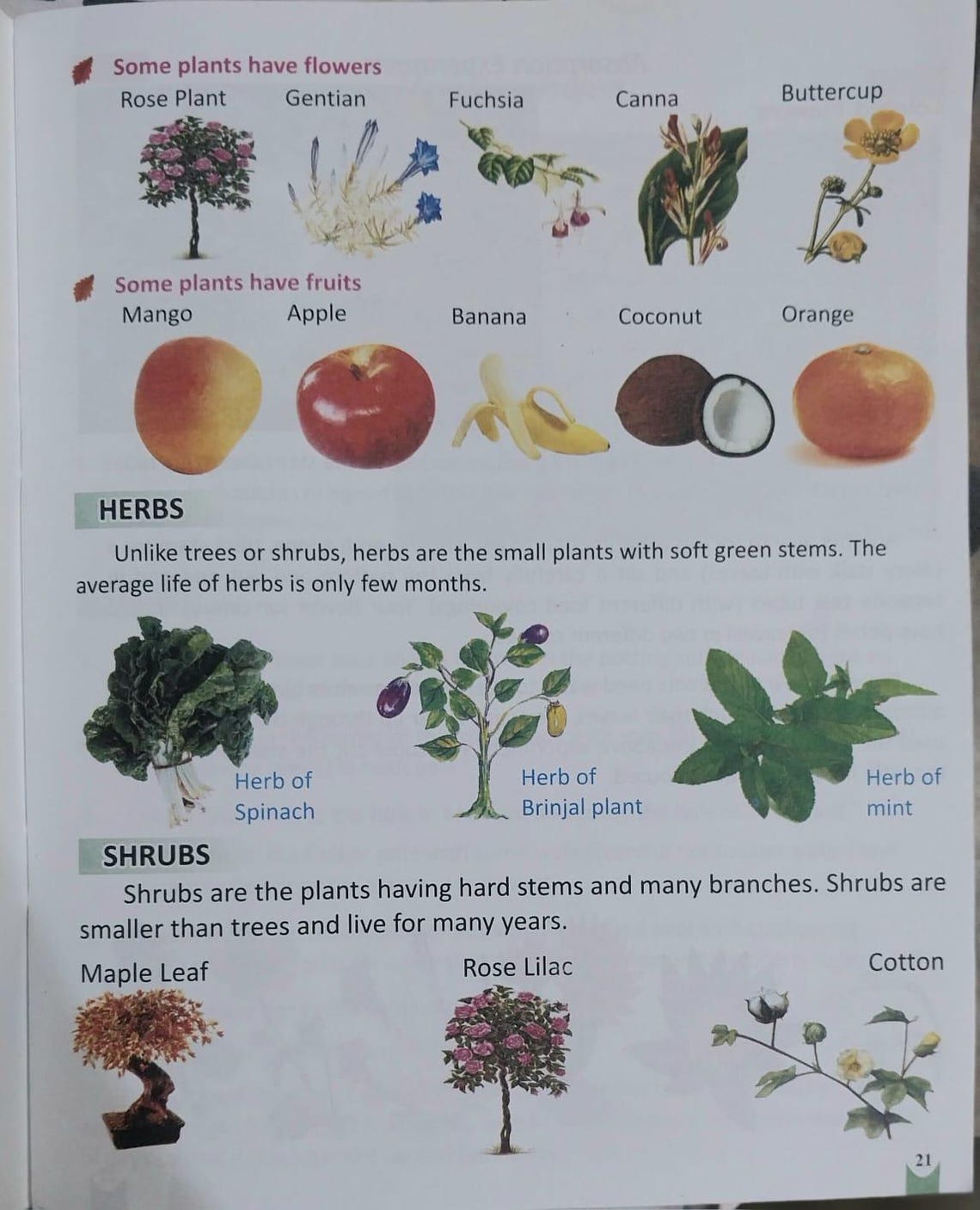 Kids Science Activity Book, Printable Learning - Etsy