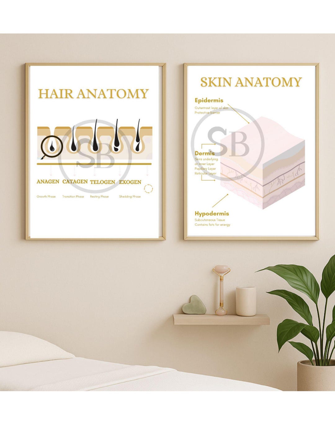 Hair & Skin Anatomy Poster Set - Spa Decor - Cosmetology Printable ...