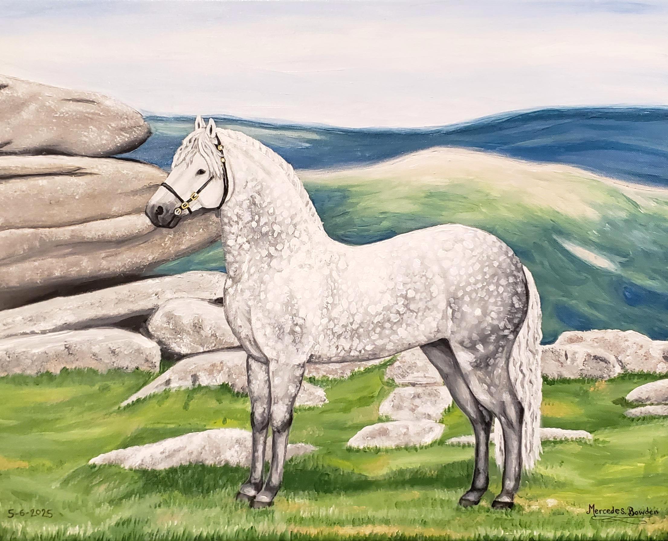Original Connemara Pony in It's Native Homeland Acrylic Painting 16"×20 ...