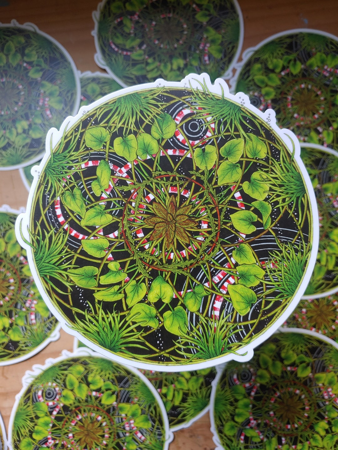 6"x6" Freshwater Sticker - Etsy