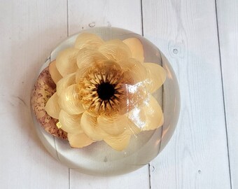 Paperweight Signed | Etsy