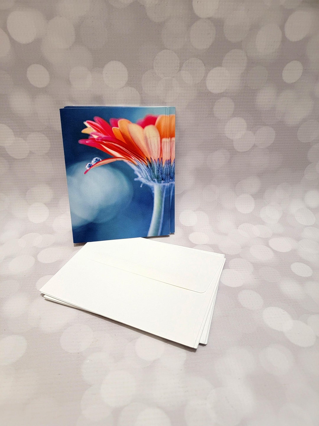 Gerber Daisy Flower and Water Drops Blank Cards Set of 4 - Etsy