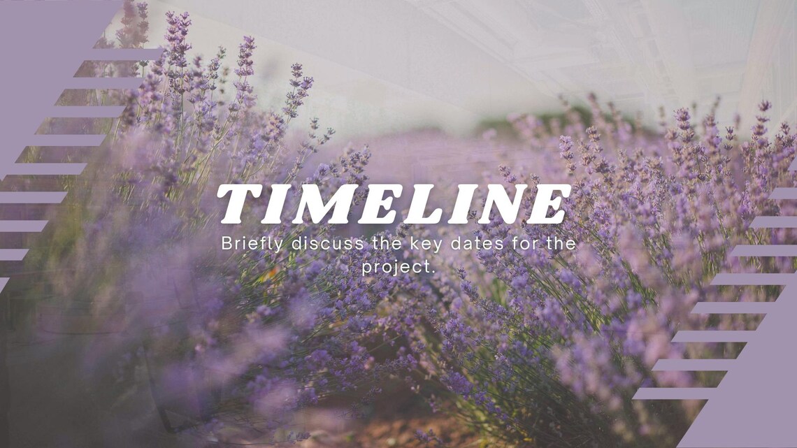 Lavender Business Presentation Template: Minimalist Design, 30+ Slides ...