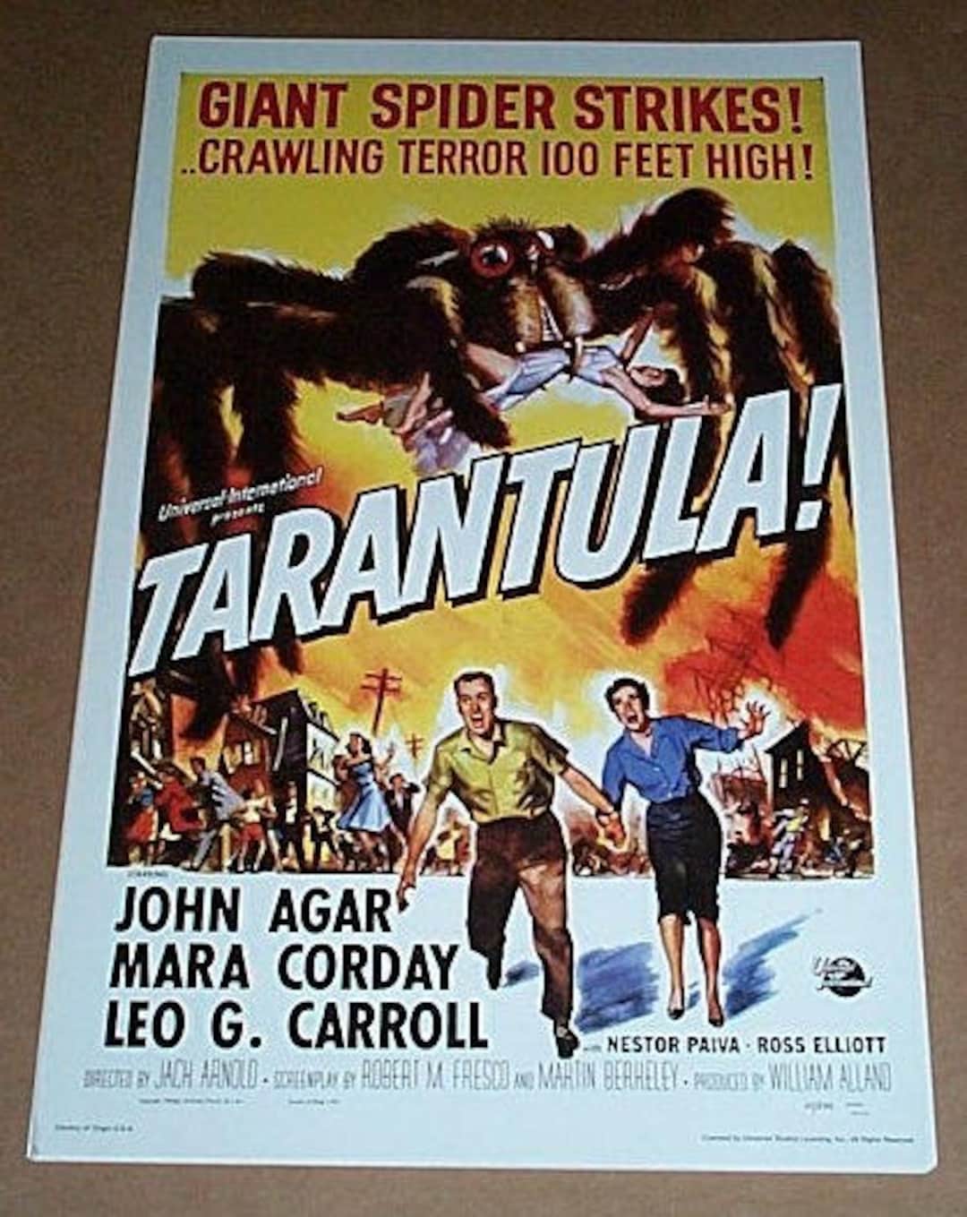 Official Universal Studios Tarantula 17 by 11 Inch Horror Movie Spider ...