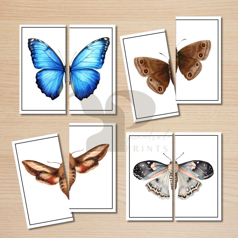 Printable Insects Matching Game, Toddler Matching Activity, Kids ...