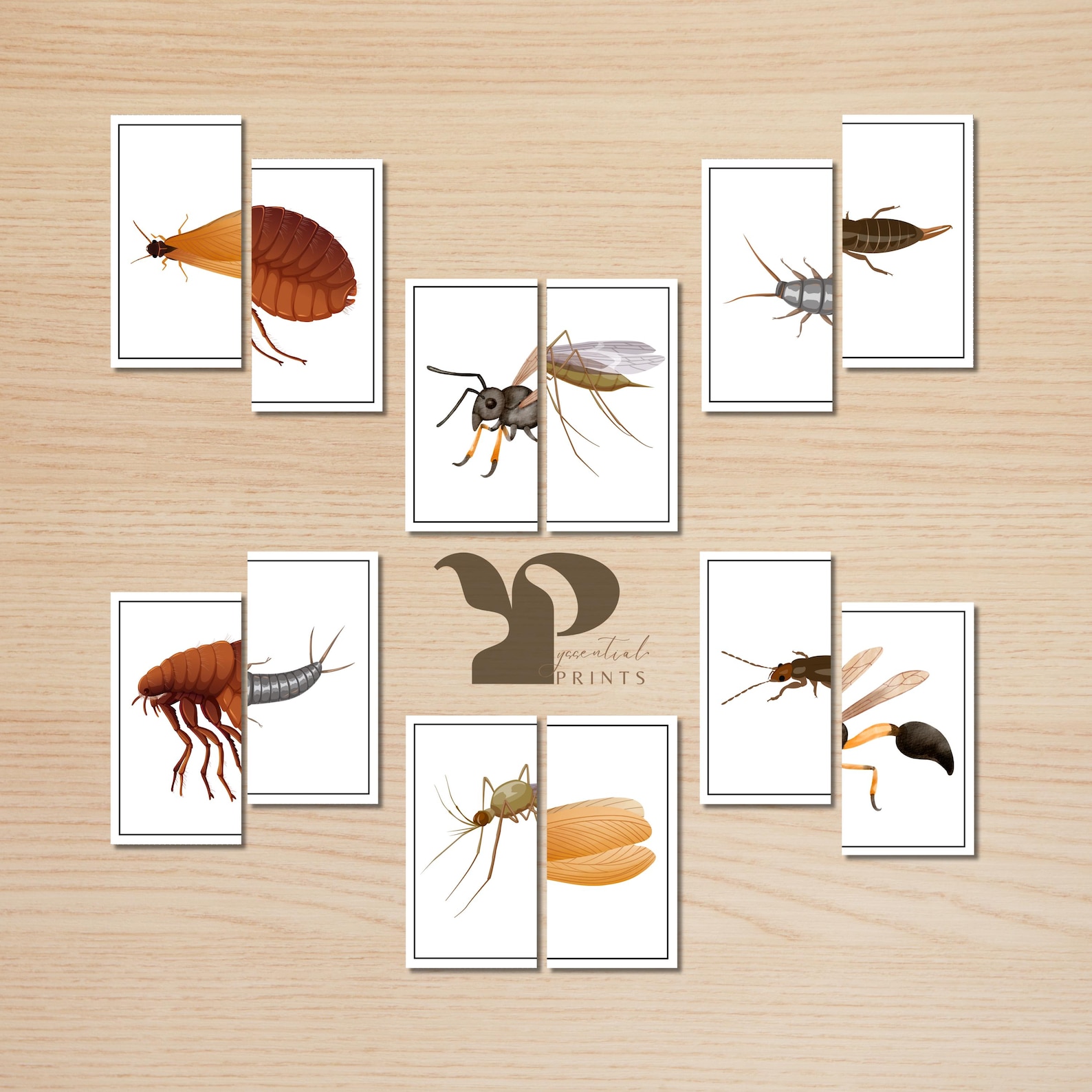 Printable Insects Matching Game, Toddler Matching Activity, Kids ...