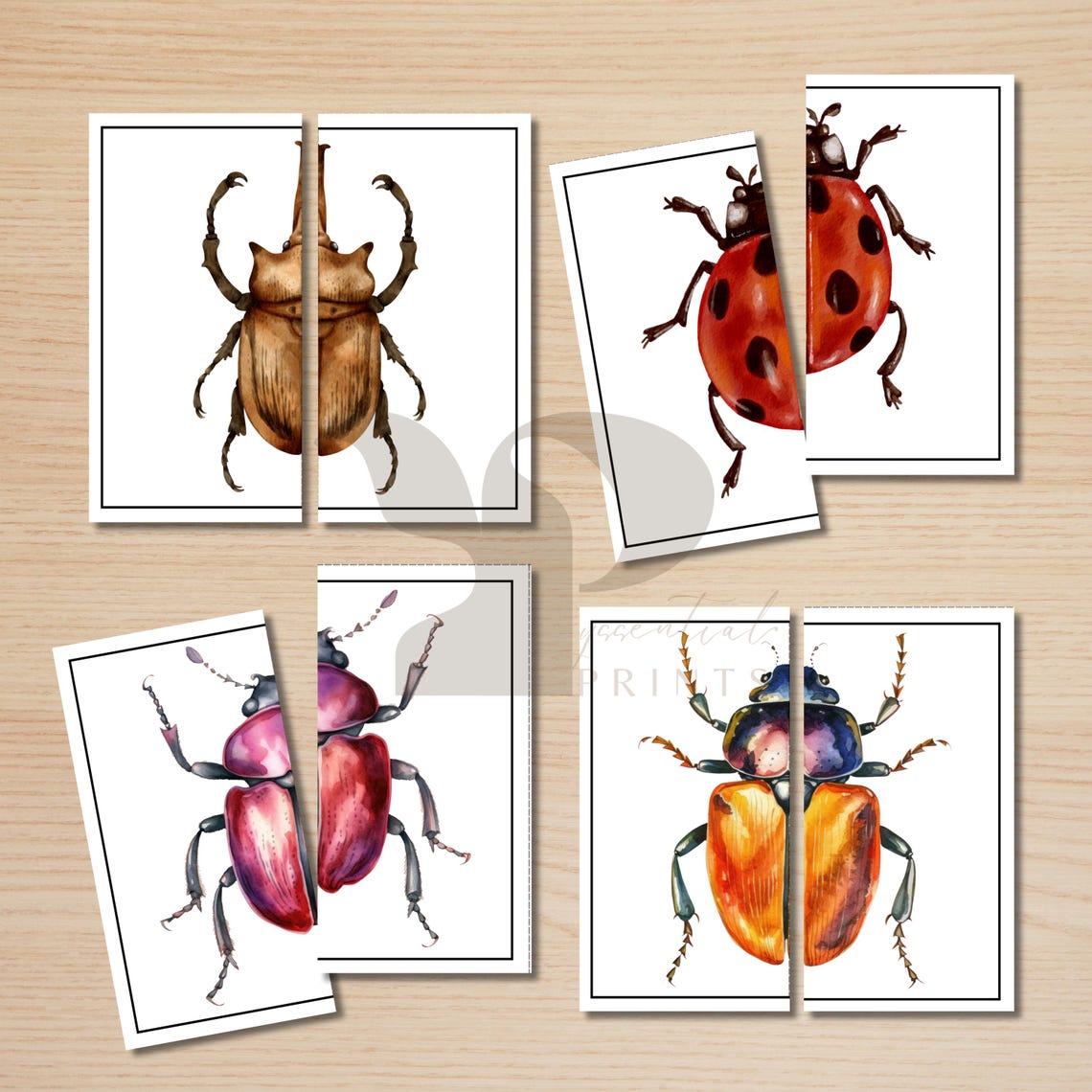 Printable Insects Matching Game, Toddler Matching Activity, Kids ...