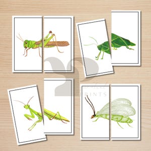 Printable Insects Matching Game, Toddler Matching Activity, Kids ...