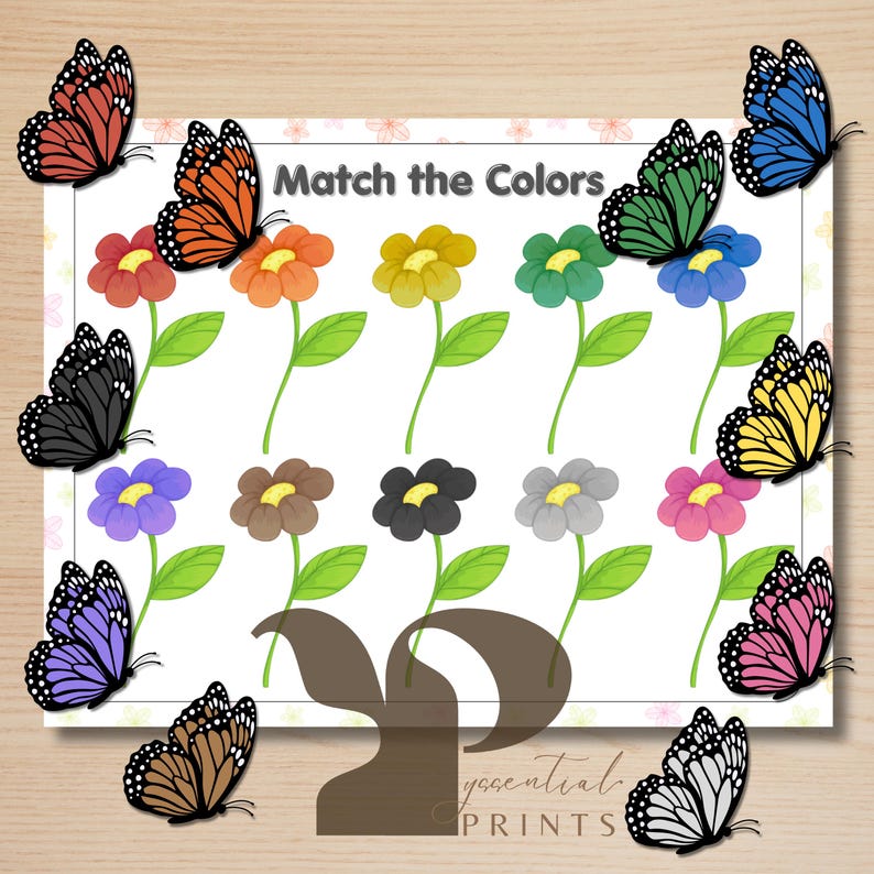 Butterfly and Flower Matching Game, Color Matching Activity for Kids ...