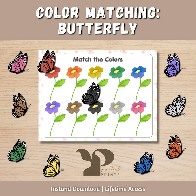 Butterfly and Flower Matching Game, Color Matching Activity for Kids ...