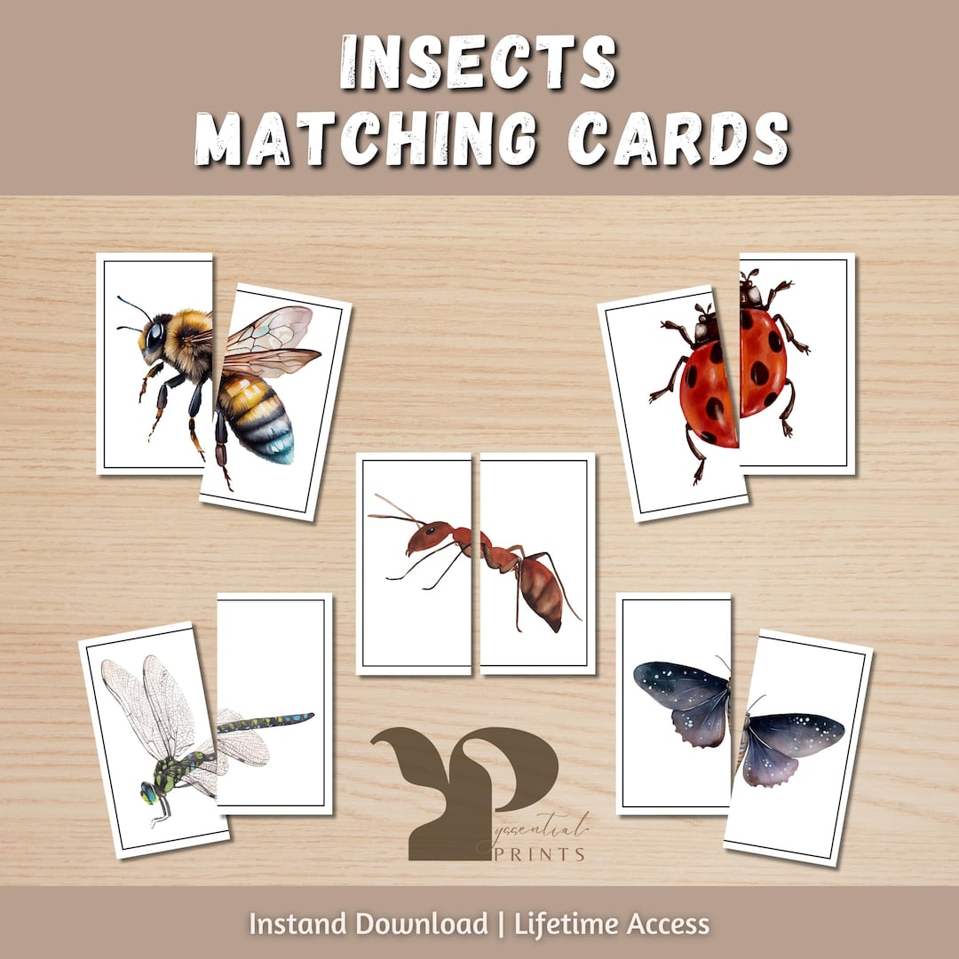 Printable Insects Matching Game, Toddler Matching Activity, Kids ...