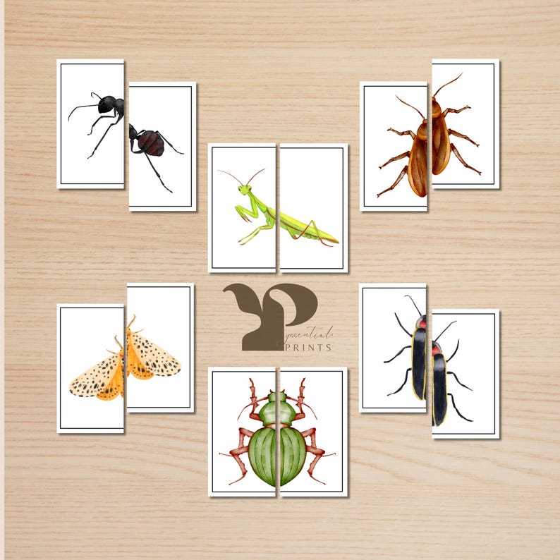 Printable Insects Matching Game, Toddler Matching Activity, Kids ...