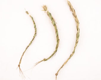 Dried Sweetgrass - Etsy