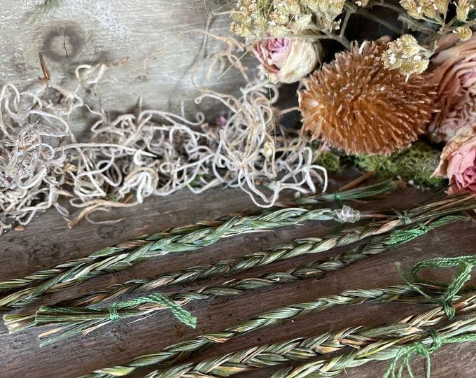 Freshly Dried Sweetgrass Braids - Etsy