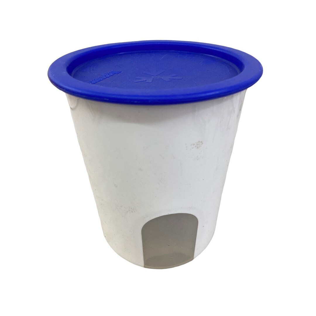 Tupperware Canister See Thru Window White Blue - Etsy