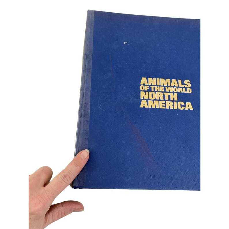 MCM Vintage Animals of the World North America Hardcover Book - Etsy