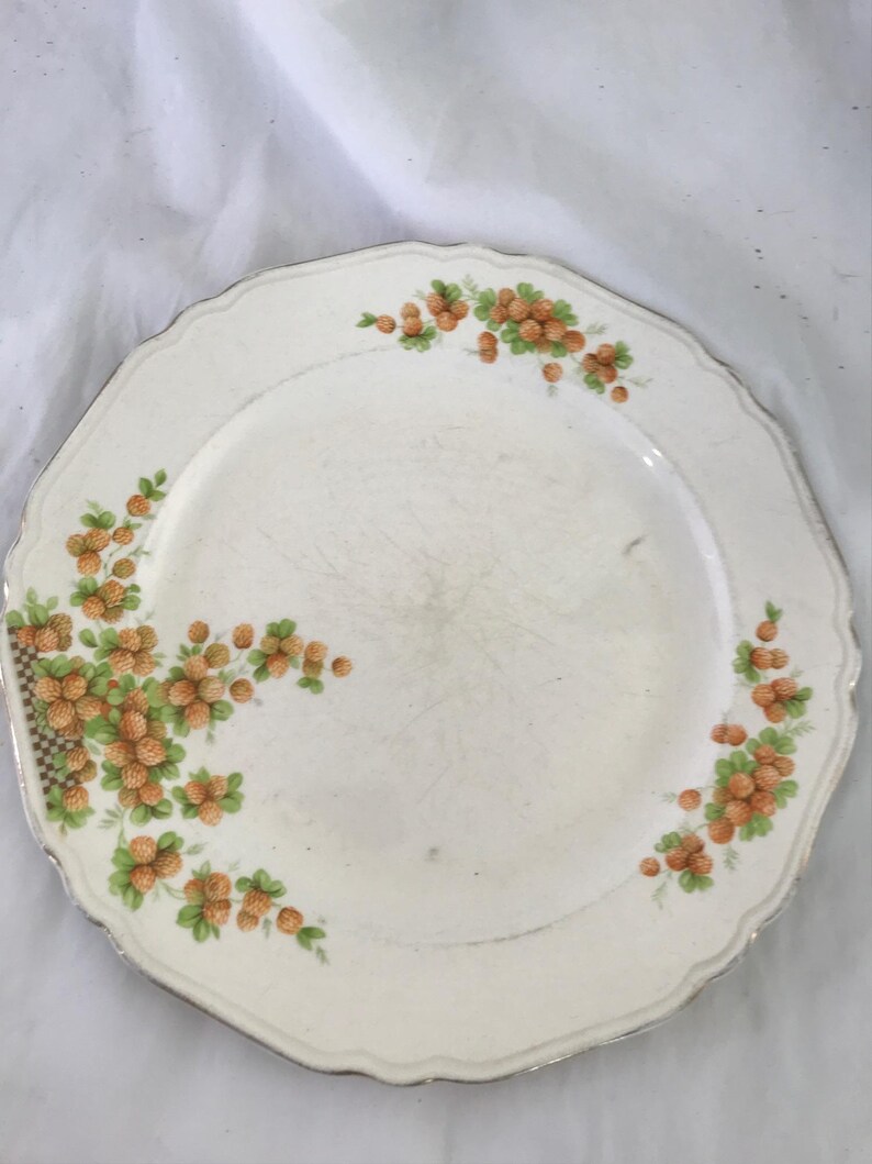 Crown Potteries Co Orange Floral Pattern Dinner Plate - Etsy