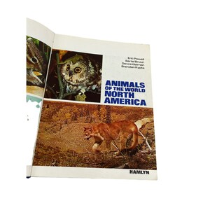 MCM Vintage Animals of the World North America Hardcover Book - Etsy