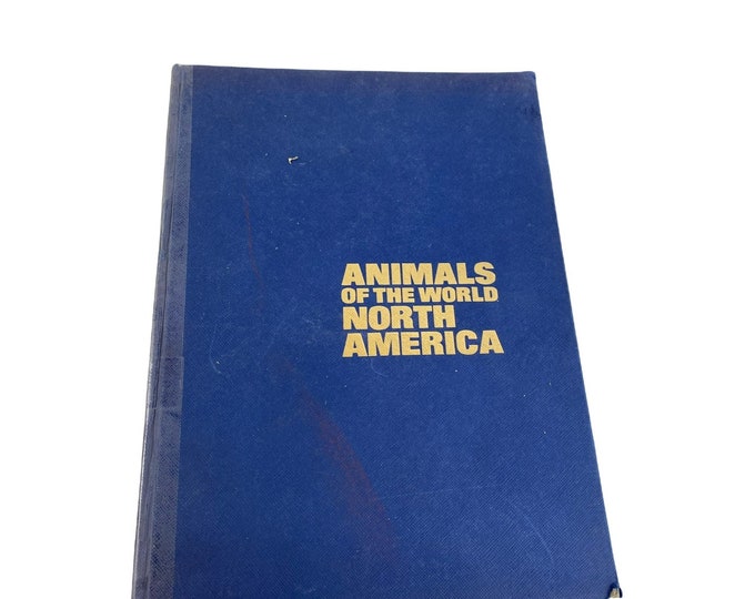 Wild Animals of North America|national Geographic|1979|coffee Table ...