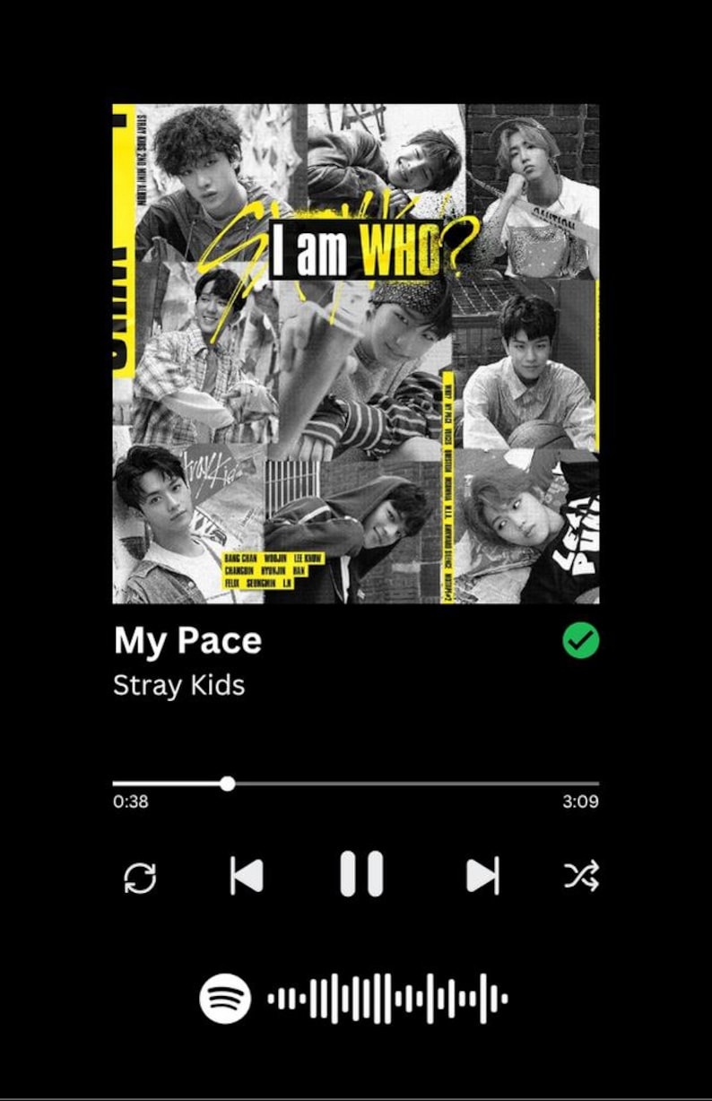 Stray Kids SKZ Spotify Code Binder Filler Photocards | Pdf, Png, Svg ...