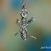 Sterling Silver Ant Charm Six Legged Insect Picnic Ants 3D Solid .925 ...