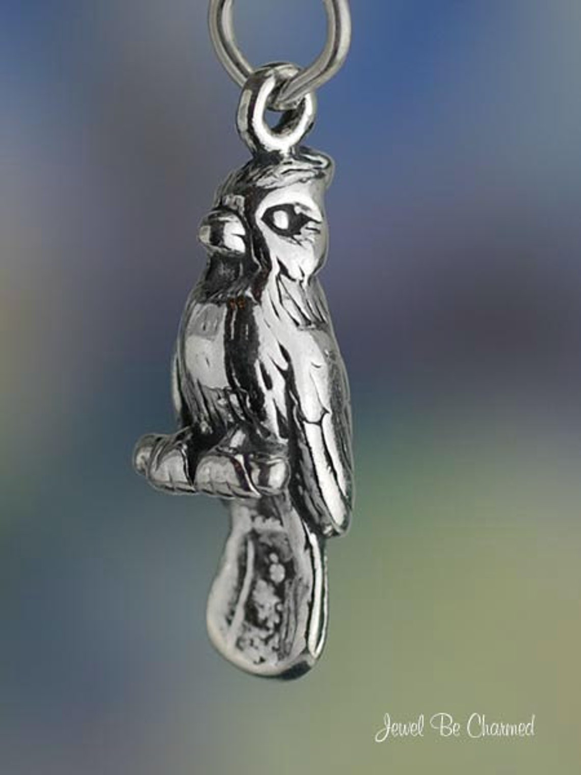 Sterling Silver Cardinal Bird Charm Backyard Birdwatching 3D - Etsy