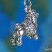 Sterling Silver Poodle Charm Purebred Poodles Dog Breed 3D Solid .925 ...