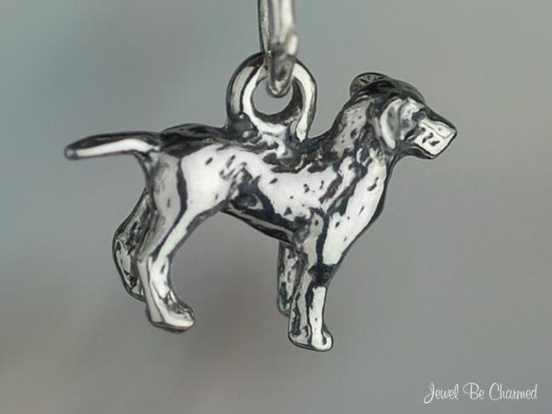 Sterling Silver Labrador Retriever Charm Lab Labradors 3D - Etsy