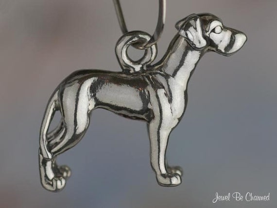 Silver Dog Breeds