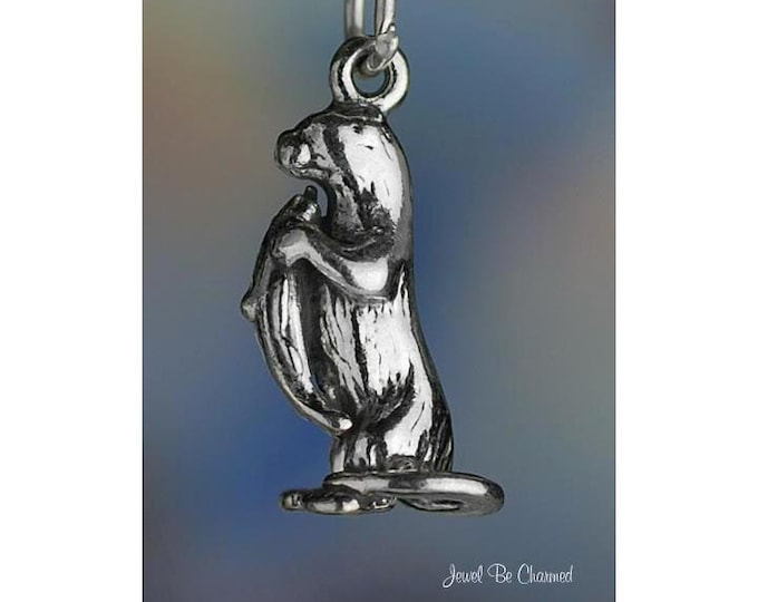 Sterling Silver Sea or River Otter Charm Otters With Fish 3D Solid 925 ...