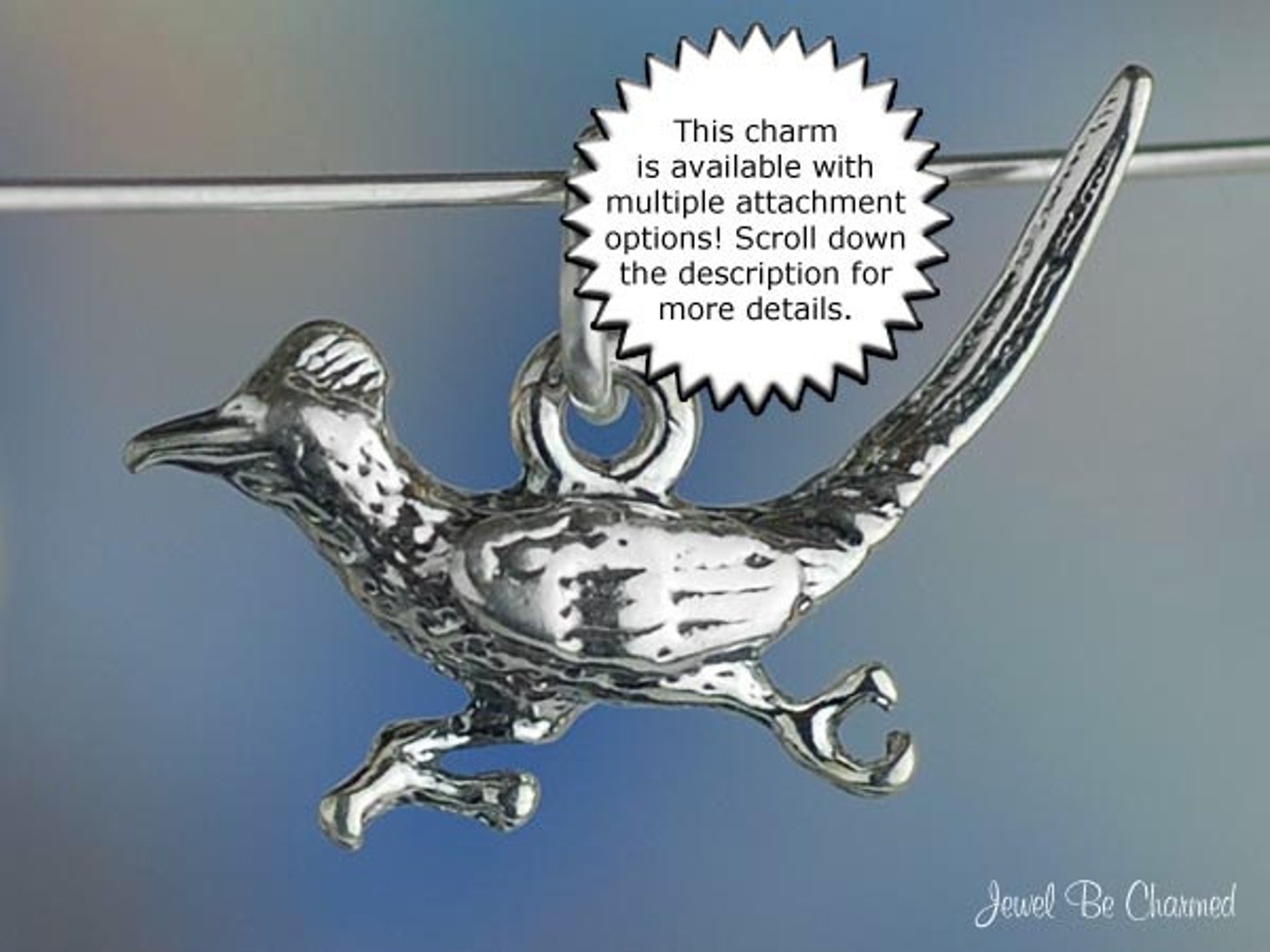 Sterling Silver Roadrunner Charm Southwest New Mexico 3D Solid .925 - Etsy