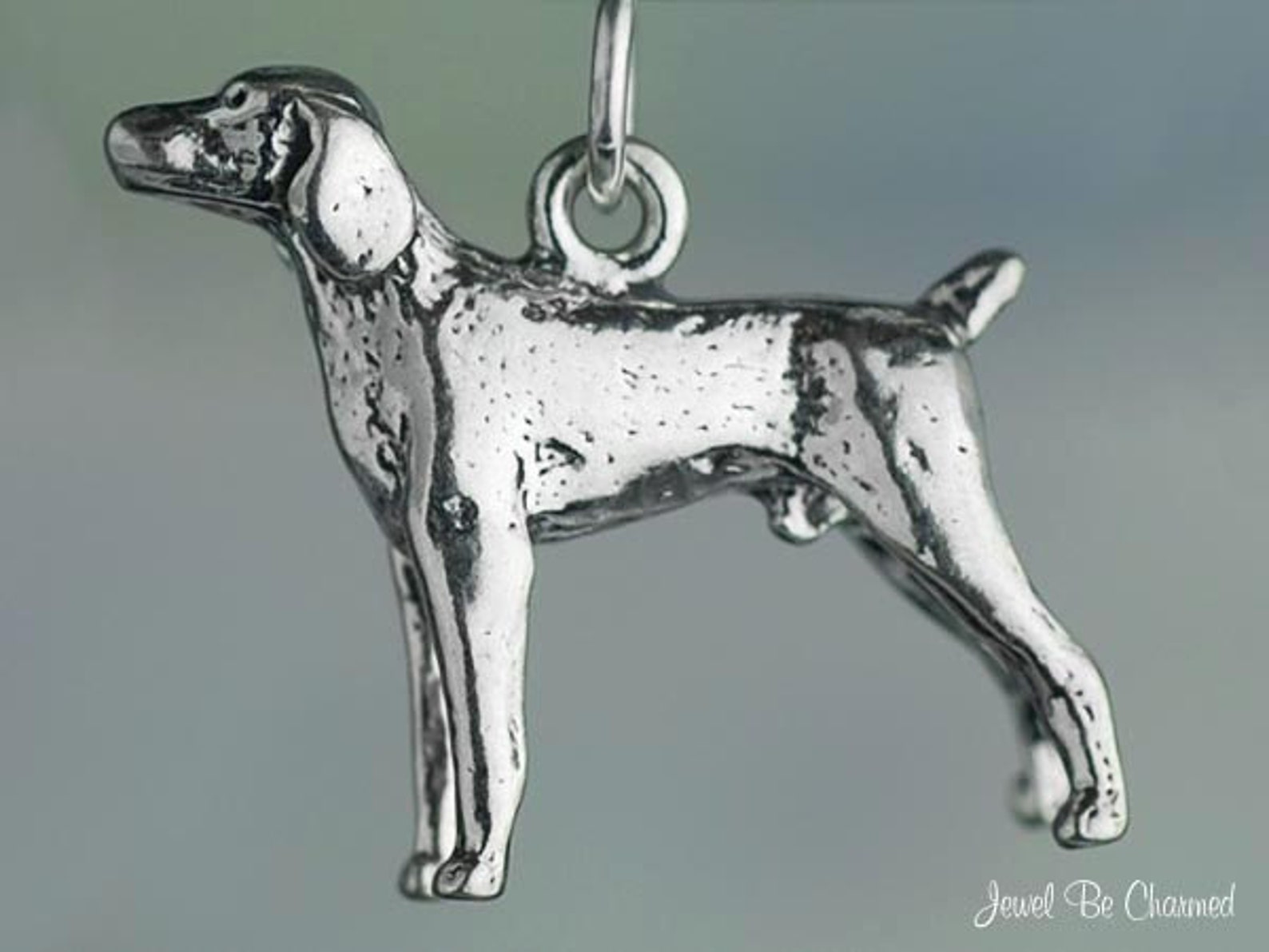 Sterling Silver Vizsla or Weimaraner Charm Dog Breed 3D Solid - Etsy