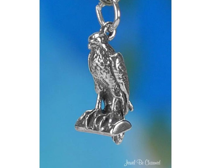Sterling Silver Falcon Charm Raptor Bird of Prey Peregrine Falcons 925 ...