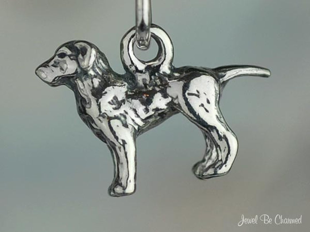Sterling Silver Labrador Retriever Charm Lab Labradors 3D Solid .925 - Etsy