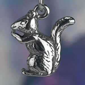 Sterling Silver Chipmunk Charm Chipmunks Backyard Animal 3D Solid .925 ...